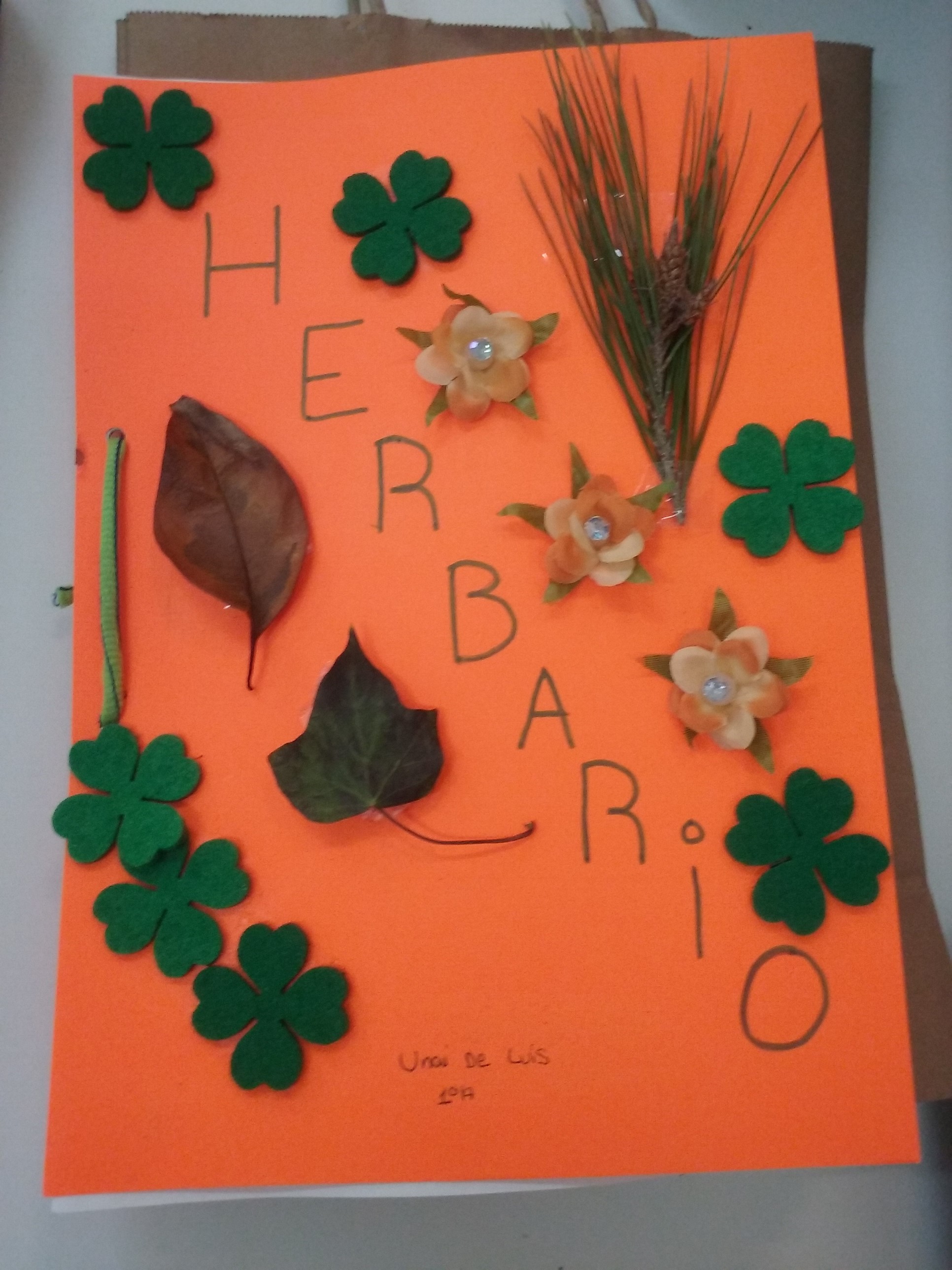 NUESTRO HERBARIO EN 1º ESO - Colegio La Compasión Escolapios